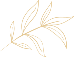 Santa Rosa Behavioral Healthcare Hospital - Behavioral Healthcare Hospitals