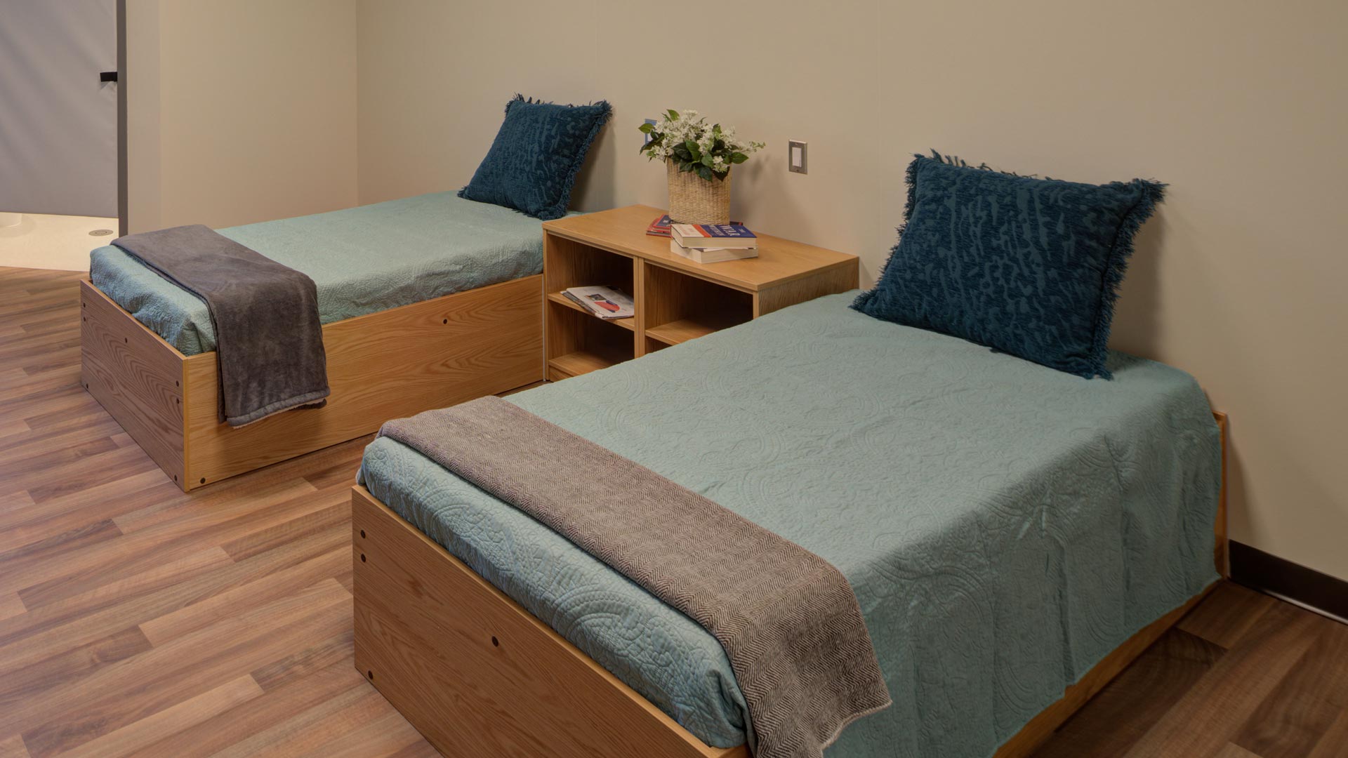 Behavioral Health Services & Programs - NCBHS