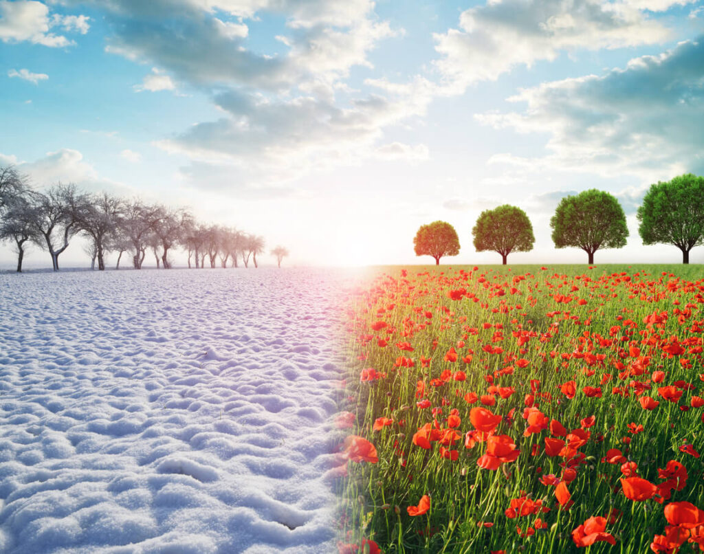 The Science Behind Seasonal Mood Changes: How Your Brain Responds to ...